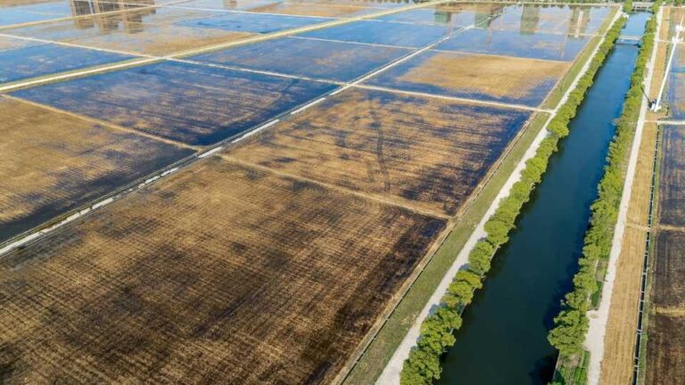 Runoff vs Infiltration Explained Through Natural and Human Water ...